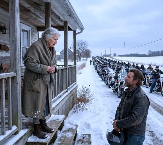 Bikers Return to Thank Elderly Woman Who Sheltered Them During a Snowstorm - Story of the Day!
